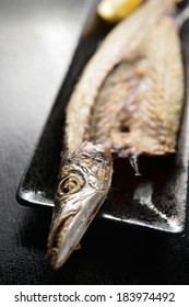 173 Japanese Barracuda Images, Stock Photos & Vectors | Shutterstock