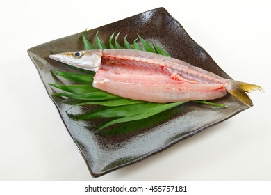 173 Japanese Barracuda Images, Stock Photos & Vectors | Shutterstock