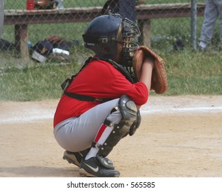 Baseball Player Catching Stock Photo 565585 | Shutterstock