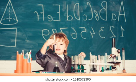 Knowledge Day Basic Knowledge Primary School Stock Photo 1558567436 ...