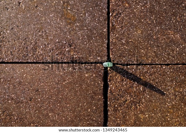 Basic Simple Sundial Top View Stock Photo 1349243465 | Shutterstock