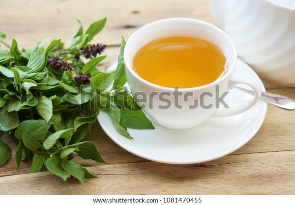 Basil Tea Basil Stock Photo (Edit Now) 1081470455