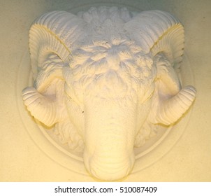 45 Vegetable stele Images, Stock Photos & Vectors | Shutterstock