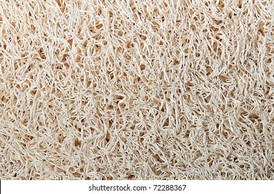 Bast Material Stock Photo 72288367 | Shutterstock