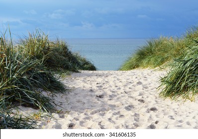 Beach Stock Photo 341606135 | Shutterstock