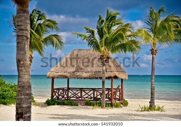Beach Stock Photo 541932010 | Shutterstock