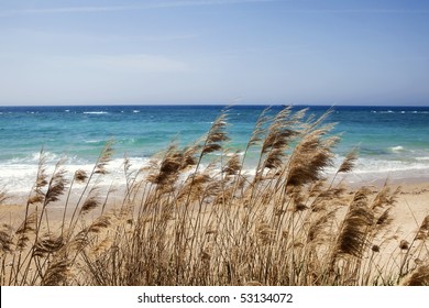 7,696 Strands of grass Images, Stock Photos & Vectors | Shutterstock