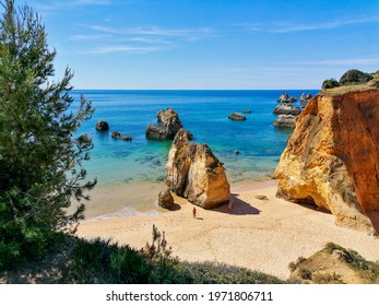 693 Wid Images, Stock Photos & Vectors | Shutterstock