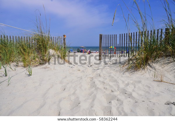 Beach Path Ocean Stock Photo 58362244 | Shutterstock