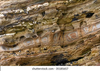 Stromatolite Fossils Precambrian Period Yellowstone National Stock ...