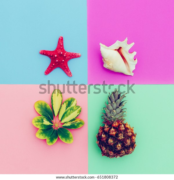 Beach Set Pineapple Shells Tropical Plants Stock Photo 651808372 ...