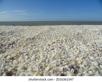 5,974 Shell beach australia Images, Stock Photos & Vectors | Shutterstock