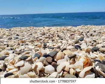 Stock Photo and Image Portfolio by Photobeauty2020 | Shutterstock