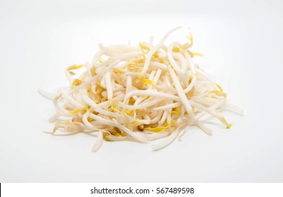 8,197 Yellow bean sprout Images, Stock Photos & Vectors | Shutterstock