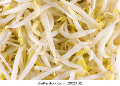 Bean Sprouts Background Stock Photo 520214581 | Shutterstock