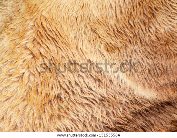 Bear Fur Texture Stock Photo 131535584 | Shutterstock