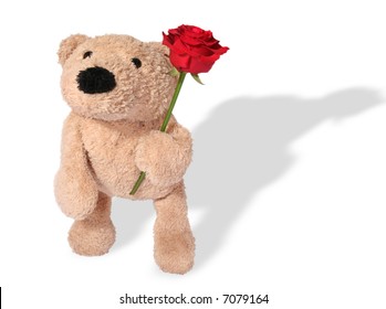 Bear Rose Stock Photo 7079164 | Shutterstock