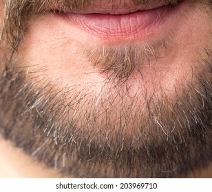 Beard Macro Stock Photo 203969710 | Shutterstock