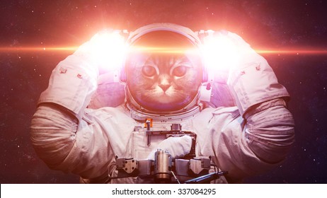 106 Cat ufo Stock Photos, Images & Photography | Shutterstock