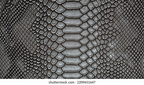 2,061 Gray Chameleon Images, Stock Photos & Vectors | Shutterstock