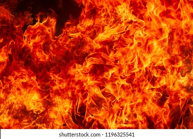 Beautiful Flame Background Stock Photo 1196325541 | Shutterstock