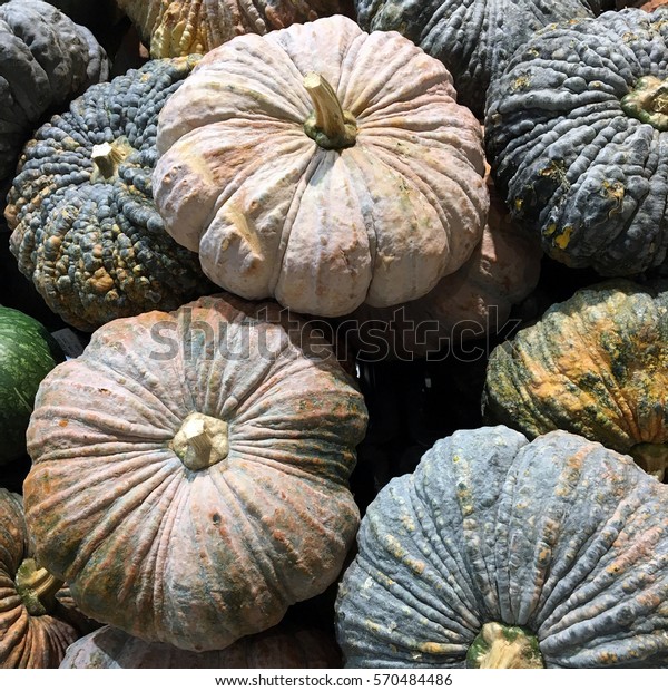 Beautiful Pumpkin Texture Background Stock Photo 570484486 | Shutterstock