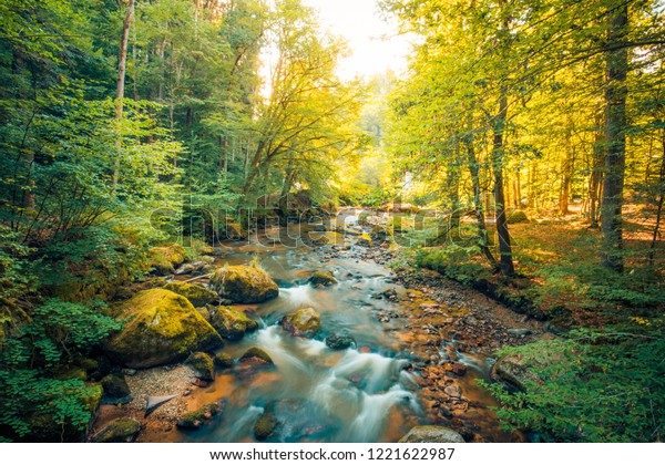 Beautiful River Forest Nature Peaceful Toned Stock Photo 1221622987 ... Beautiful River Forest Nature Peaceful Toned Stock Photo 1221622987 ...
