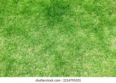 19,925 Simple Scenery Stock Photos, Images & Photography | Shutterstock