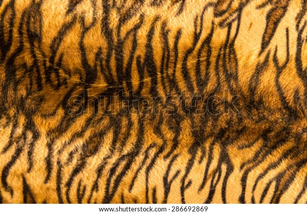 Beautiful Tiger Fur Pattern Texture Background Stock Photo (Edit Now ...