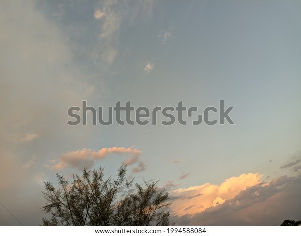Beautiful Tree Beautiful Clouds Background Stock Photo 1994588084 ...