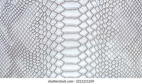 8,612 Chameleon Skin Texture Images, Stock Photos & Vectors | Shutterstock