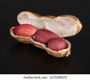 6,847 Split shell Images, Stock Photos & Vectors | Shutterstock