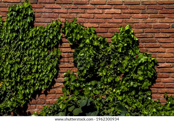 Beautifully Executed Brick Wall Background Stock Photo 1962300934 ...