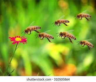 6,906 Teamwork Of Bees Images, Stock Photos & Vectors | Shutterstock
