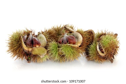 Beech Nuts Spiky Shell Over White Stock Photo (Edit Now) 109171007