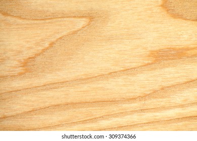 5,914 Beech tree rings Images, Stock Photos & Vectors | Shutterstock