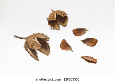 4 Triangular carrying fruit 이미지, 스톡 사진 및 벡터 | Shutterstock