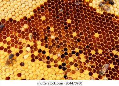 Beehive Texture Stock Photo 204473980 | Shutterstock