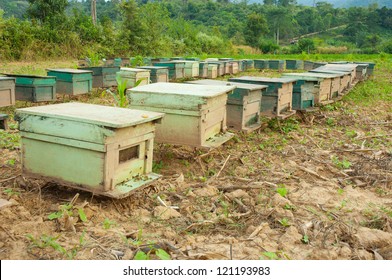 Beekeeping Stock Photo 121193983 | Shutterstock