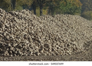 Stockfoto- und Stockbild-Portfolio von fotubi | Shutterstock