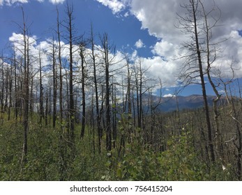 Stock Photo and Image Portfolio by Amy Rubottom | Shutterstock