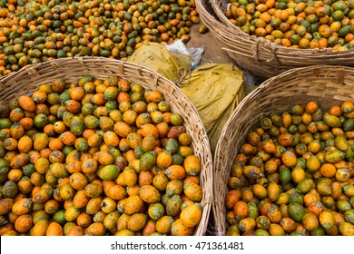 Beetle-nut Images, Stock Photos & Vectors | Shutterstock