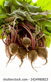 Beetroot Beet On Stem This Taproot Stock Photo 1424980823 | Shutterstock