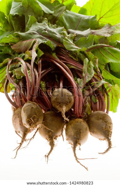 Beetroot Beet On Stem This Taproot Stock Photo (Edit Now) 1424980823