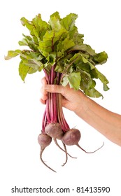Beetroot Hand Stock Photo 81413590 | Shutterstock