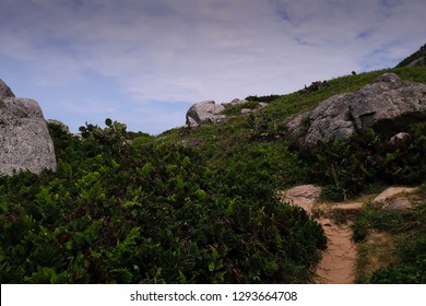 84 imagens de Sambaquis Imagens, fotos stock e vetores | Shutterstock