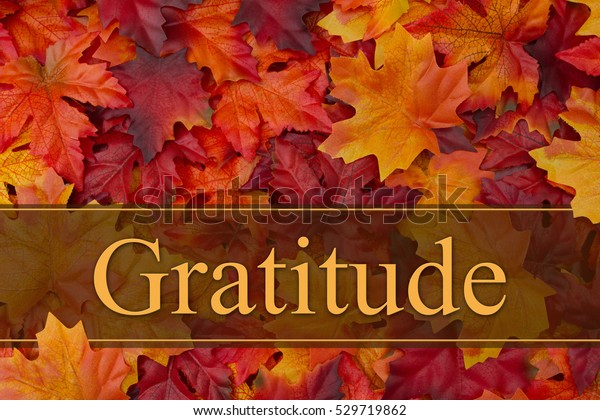 Being Grateful Message Some Fall Leaves Stock Photo (Edit Now) 529719862