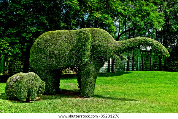 Bending Tree Elephant Stock Photo 85231276 | Shutterstock