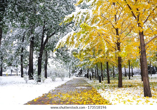 5,103 Between Autumn Winter Images, Stock Photos & Vectors | Shutterstock