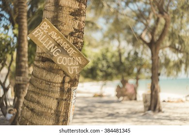 59 Beware Falling Coconut Images, Stock Photos & Vectors | Shutterstock